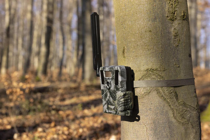 HIKMICRO M15 4G Trail Camera: Capturing Nature's Secrets — South West ...
