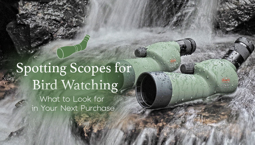 Spotting Scopes for Bird Watching: How to Pick the right one for you! — South West Optics