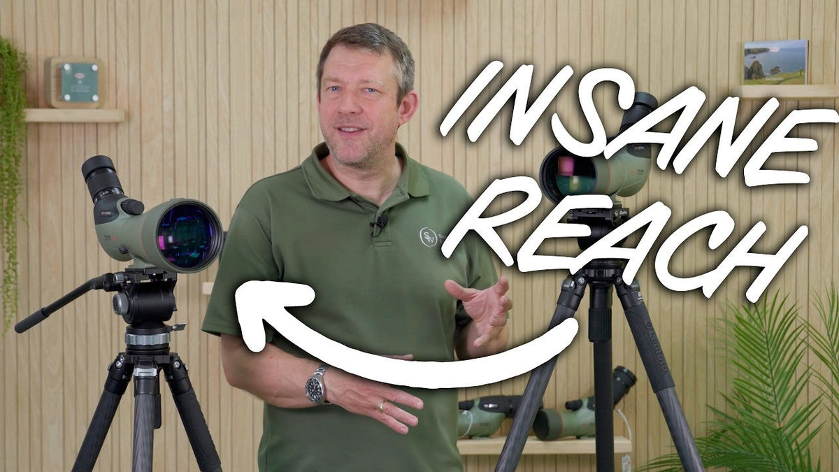 Spotting Scope Magnification and Exit Pupil: Kowa 99A vs 88A Explained ...